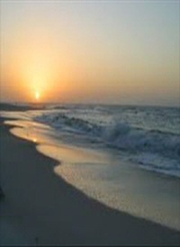 Stephen Kalish Obituary | Afterall