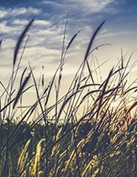 Ryan Patterson Obituary | Afterall