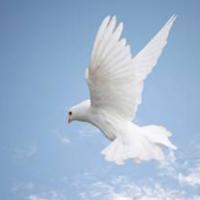 James Mayson Obituary | Rivera Family Mortuaries