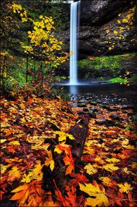 Pamela Hess Obituary | Afterall