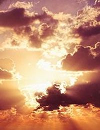 Cynthia Larsen Obituary | Afterall