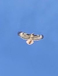 Bobby Cowden Obituary | Afterall