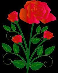 Nancy Goodwillie Obituary | Altogether