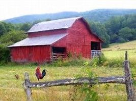 David Faulk Obituary | Altogether