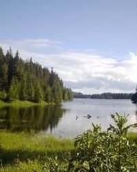 Richard Roderick Obituary | Afterall