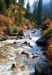 Daryl Reeves Obituary | Afterall