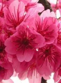 Joseph Patnode Obituary | Afterall