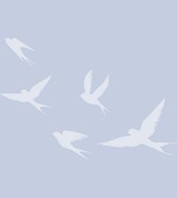EDWARD ULRICH Obituary | Afterall