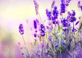 Jennifer Atwell Obituary | Altogether