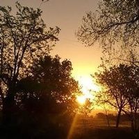 Christopher Staas Obituary | Afterall