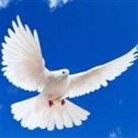 Joseph Daly Obituary | Afterall