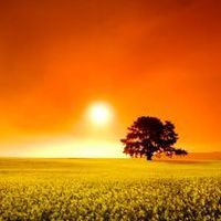 Donald Magnuson Obituary | Afterall