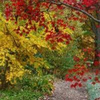 Michael Loney Obituary | Altogether