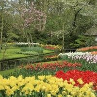 Patricia Rowe Obituary | Afterall