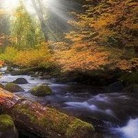 Arlie Smith Obituary | Afterall