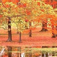 William Snider Obituary | Afterall