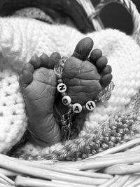 Noah Bohn Obituary | Afterall