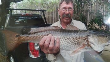 David Picou Obituary | Altogether