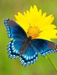 Jim Colson Obituary | Afterall