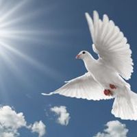 Paul Campo Obituary | Afterall