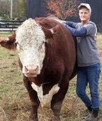 Sarah Stanfield Obituary | Afterall