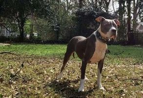 Toby Sykes Obituary | Afterall