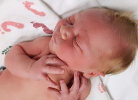 Dallas Davis Obituary | Altogether