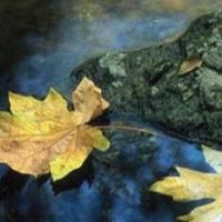 Charles Trumbo Obituary | Cremation Services of Pennsylvania