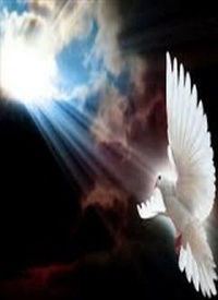 Kevin Fair Obituary | Afterall